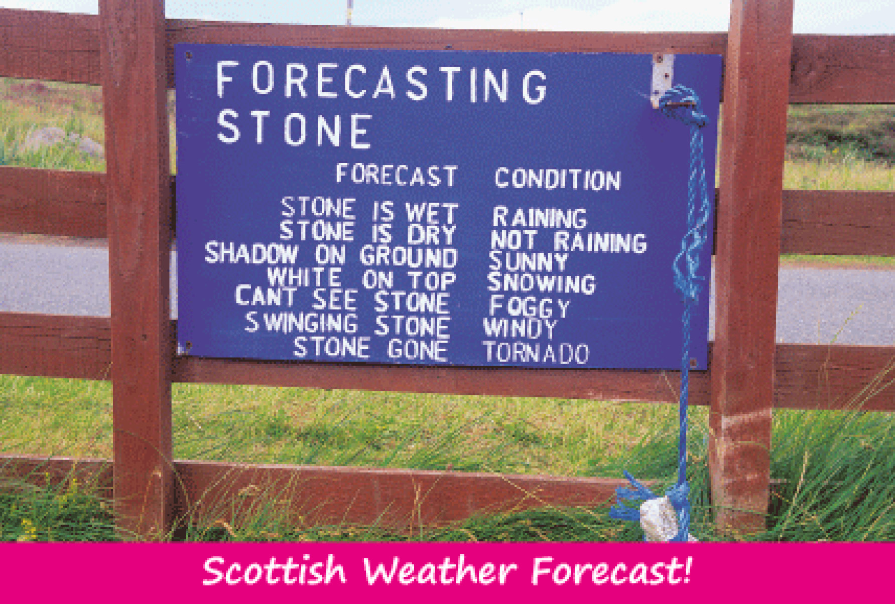 Small Postcard Scottish Weather Forecast! pack of 50 - Island Blue