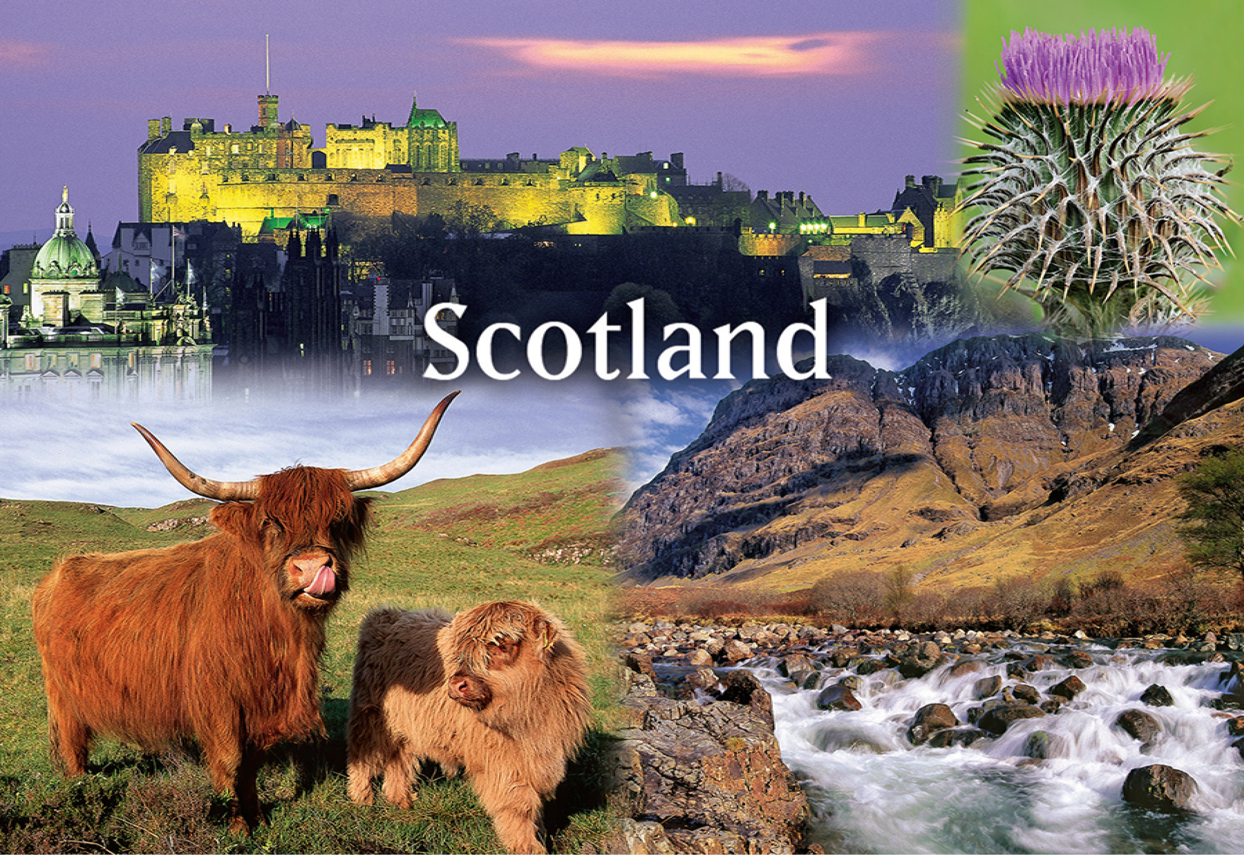 Medium Postcard Scotland pack of 50 - Island Blue