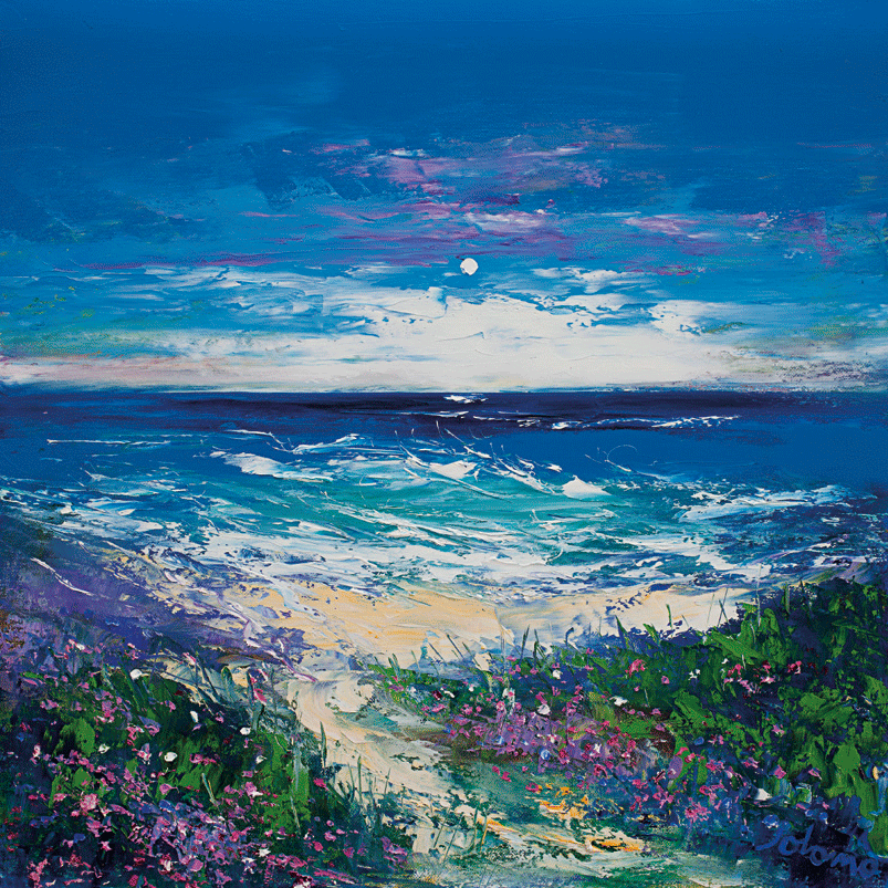 JOLOMO Fridge Magnet Sea Pinks and Spindrift Isle of Barra pack of 5 ...