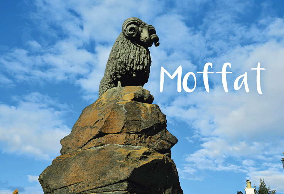 Photographic Magnet The Moffat Ram, Moffat Sold in packs of 5 - Island Blue